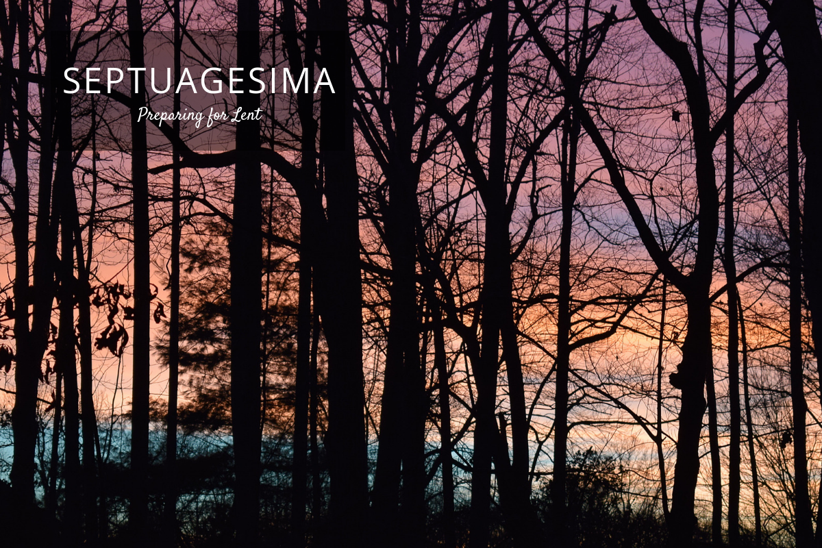 Septuagesima | The Homely Hours