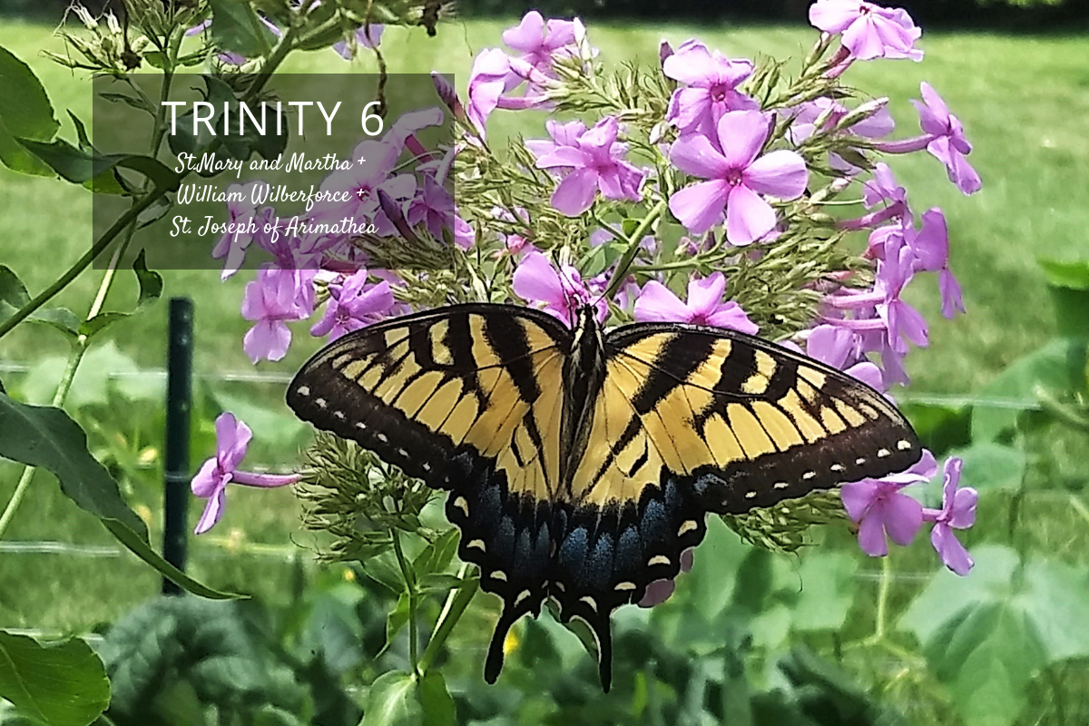 The Sixth Sunday After Trinity | The Homely Hours