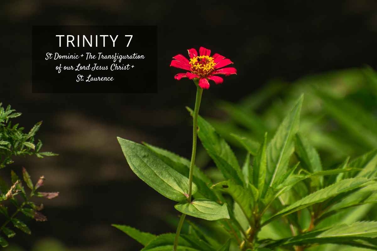 The Seventh Sunday after Trinity | The Homely Hours